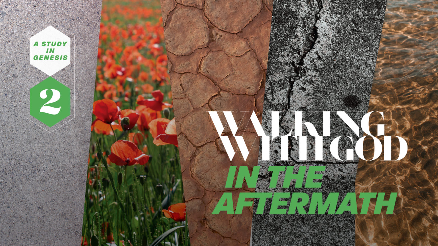 Home – Fullerton Free (EvFree Fullerton)